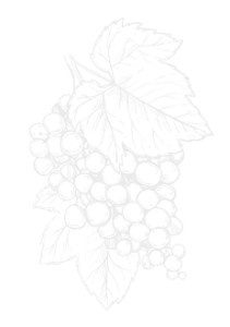 Food truck restaurant à Plan de Campagne | Leffie Burger